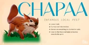 Chapaa | Palia Wiki | Fandom