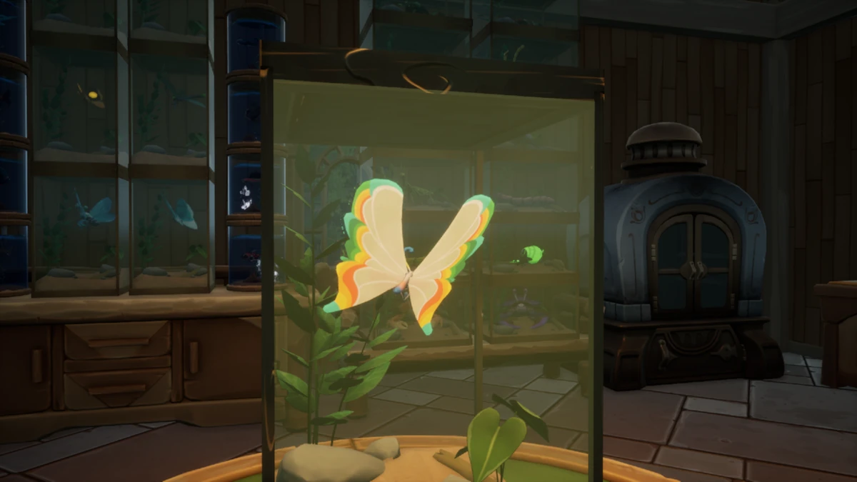 Rainbow-Tipped Butterfly | Palia Wiki | Fandom