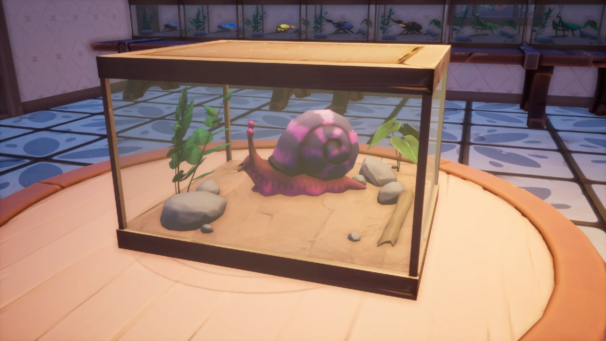 Stripeshell Snail | Palia Wiki | Fandom