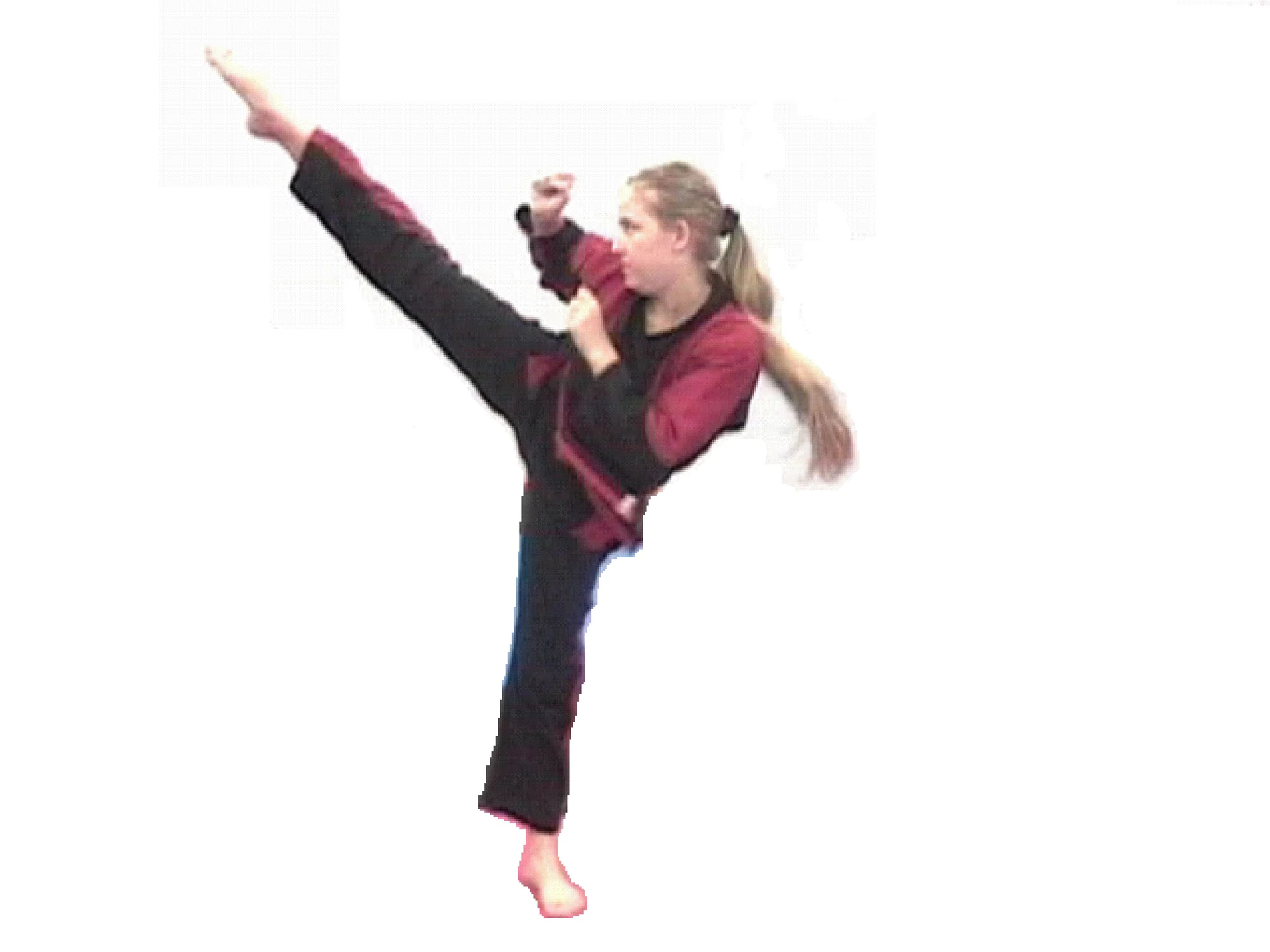 Martial Arts Styles – L: | Palladium/Rifts Fansite Wiki | Fandom