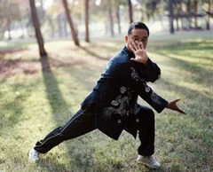 Pigua Zhang- Chop Hanging Palm: | Palladium/Rifts Fansite Wiki | Fandom
