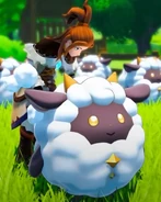 Lamball | Palworld Wiki | Fandom