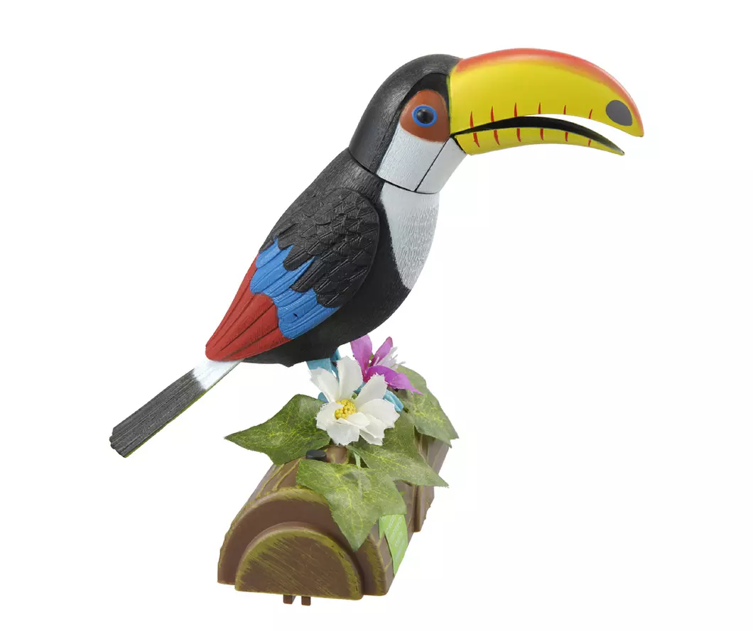 Talk-Back Toucan | Pan Asian Creations Wiki | Fandom