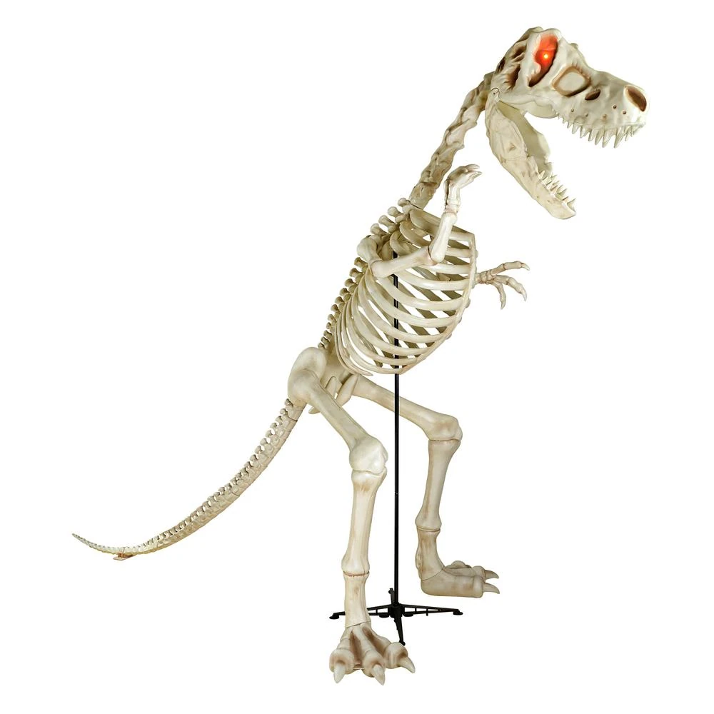 Giant Skeleton T Rex | Pan Asian Creations Wiki | Fandom