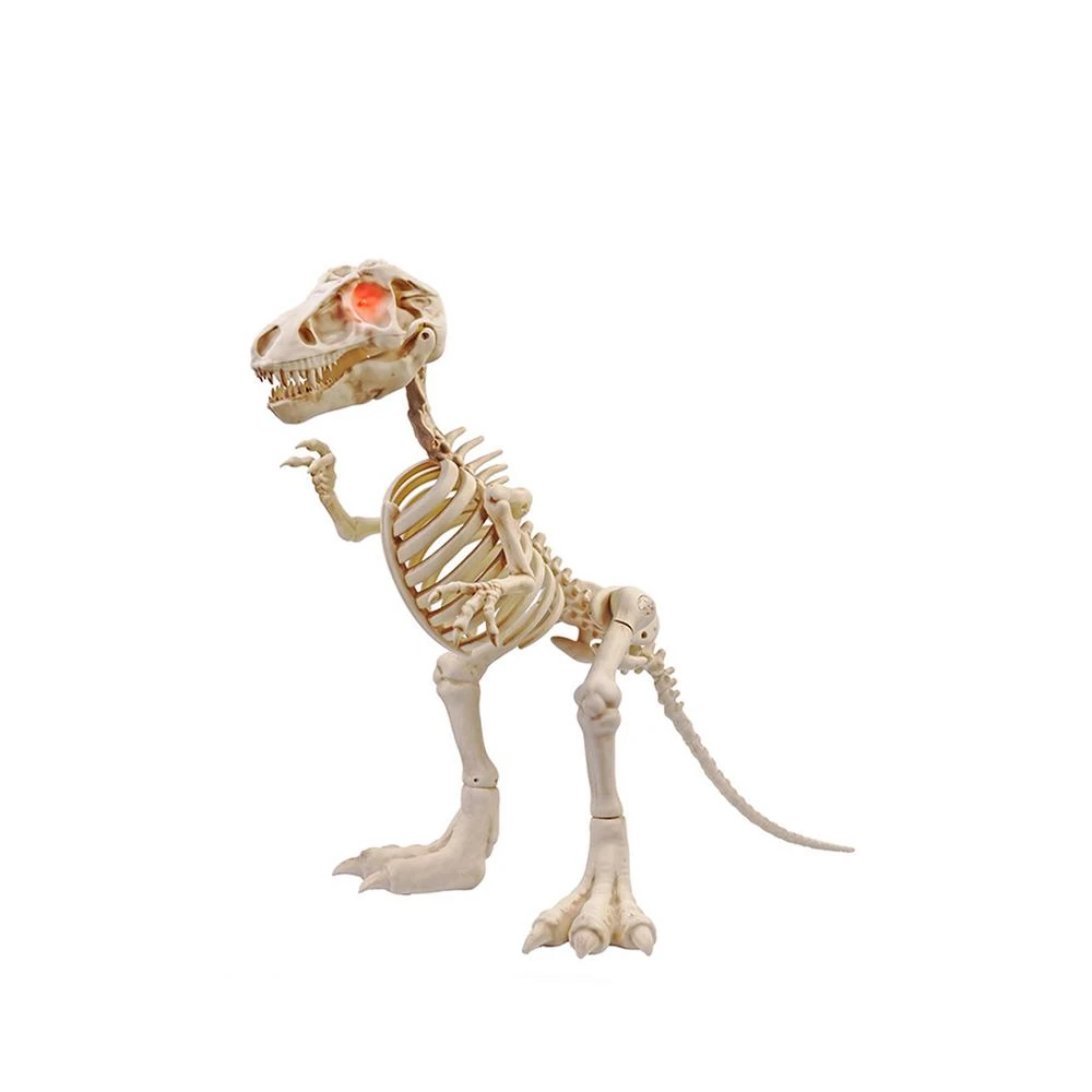 3ft Skeleton T-Rex | Pan Asian Creations Wiki | Fandom