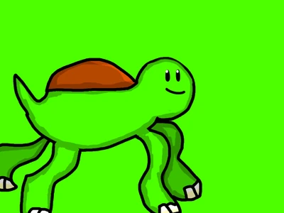 Zack The Turtle | Zack The Turtle: The Wiki | Fandom