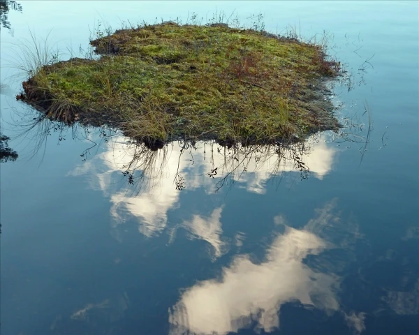 Skylane | Panchea Wiki | Fandom