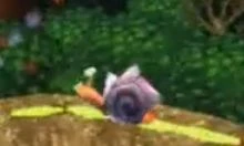 Spiky Snail | Pandemonium Wiki | Fandom