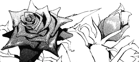 Roses | Jun Mochizuki Wiki | Fandom