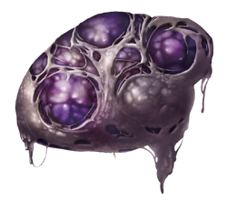 Beast flesh | Pandoras Tower Wiki | Fandom