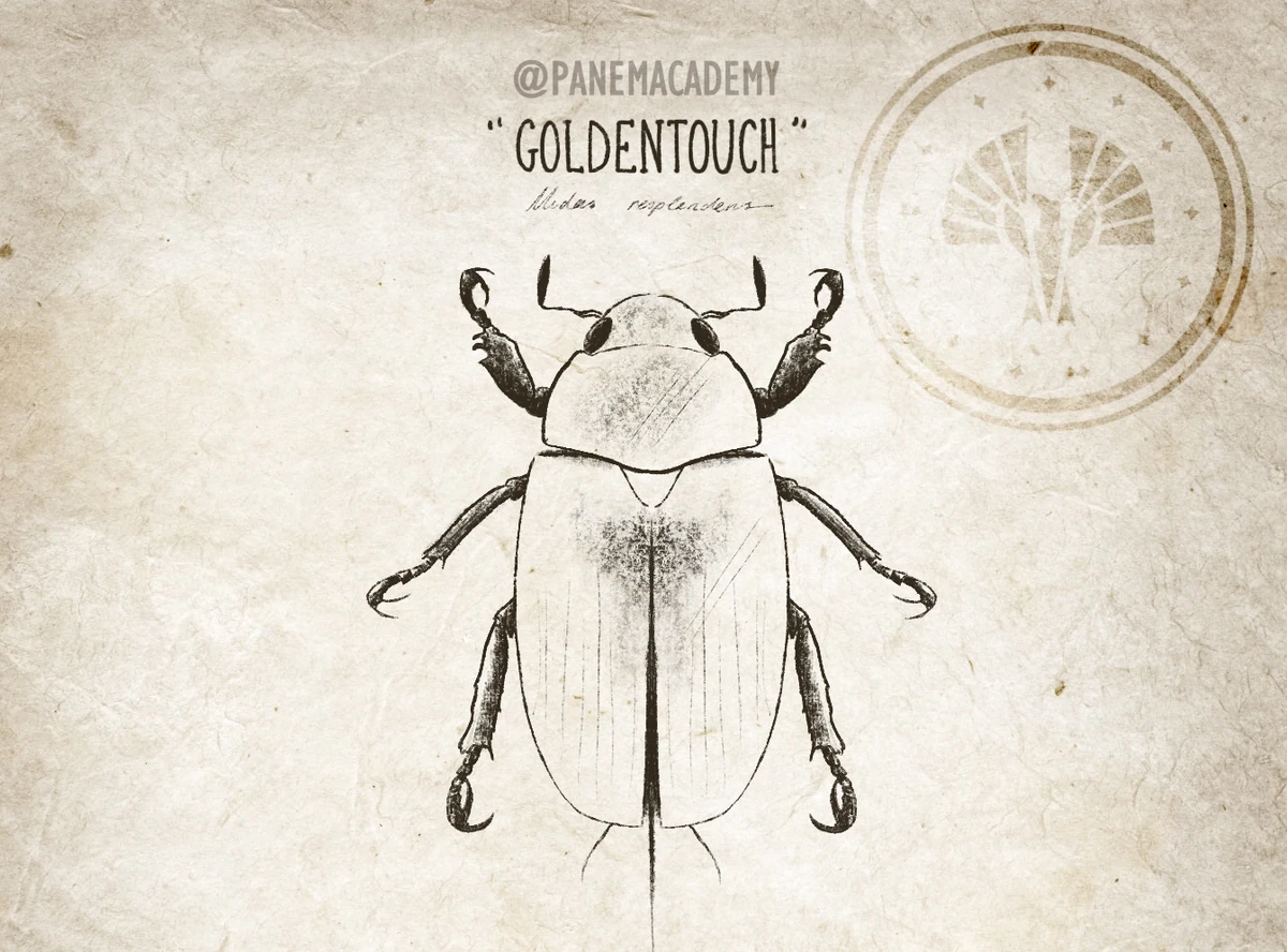 Goldentouch | Panem Academy Wiki | Fandom
