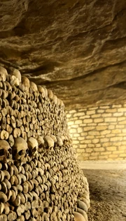 21st Annual Hunger Games | Panem Academy Wiki | Fandom