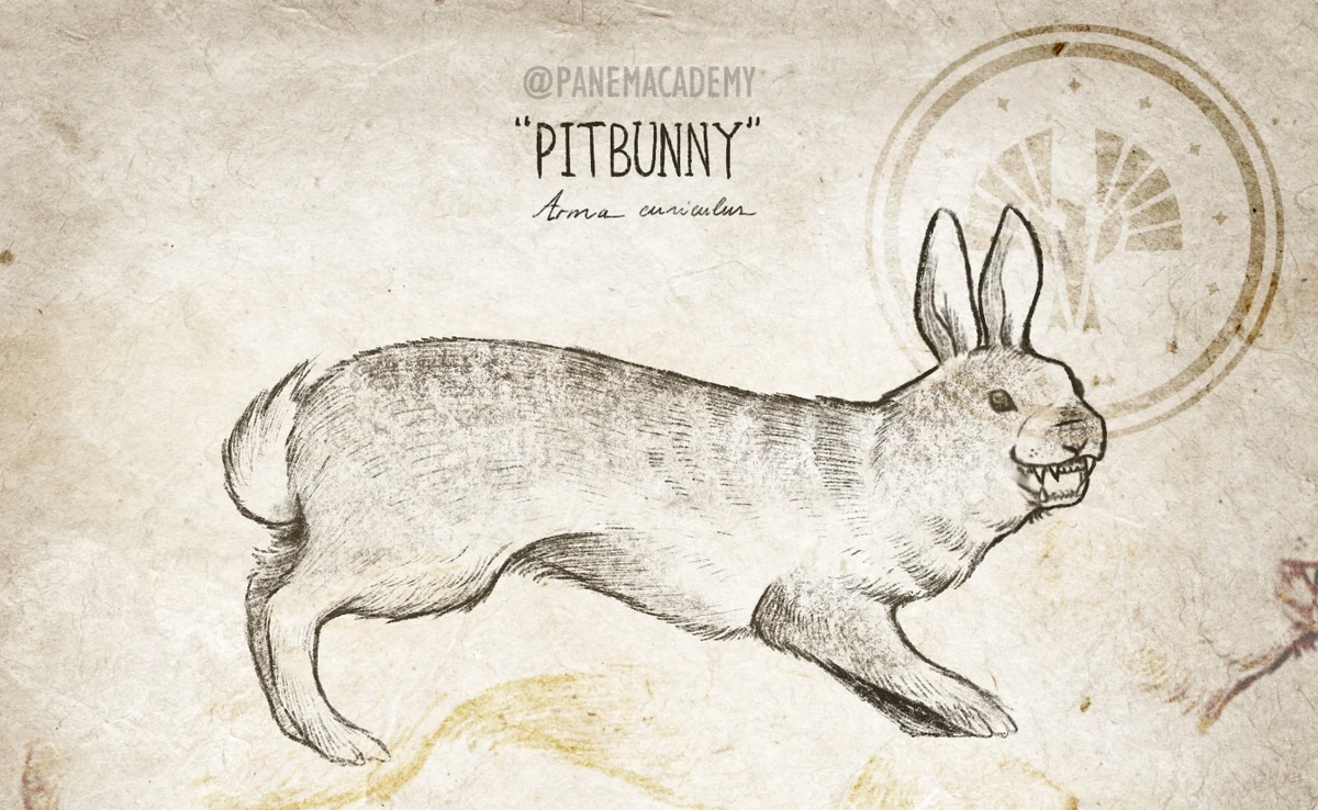 Pitbunny | Panem Academy Wiki | Fandom