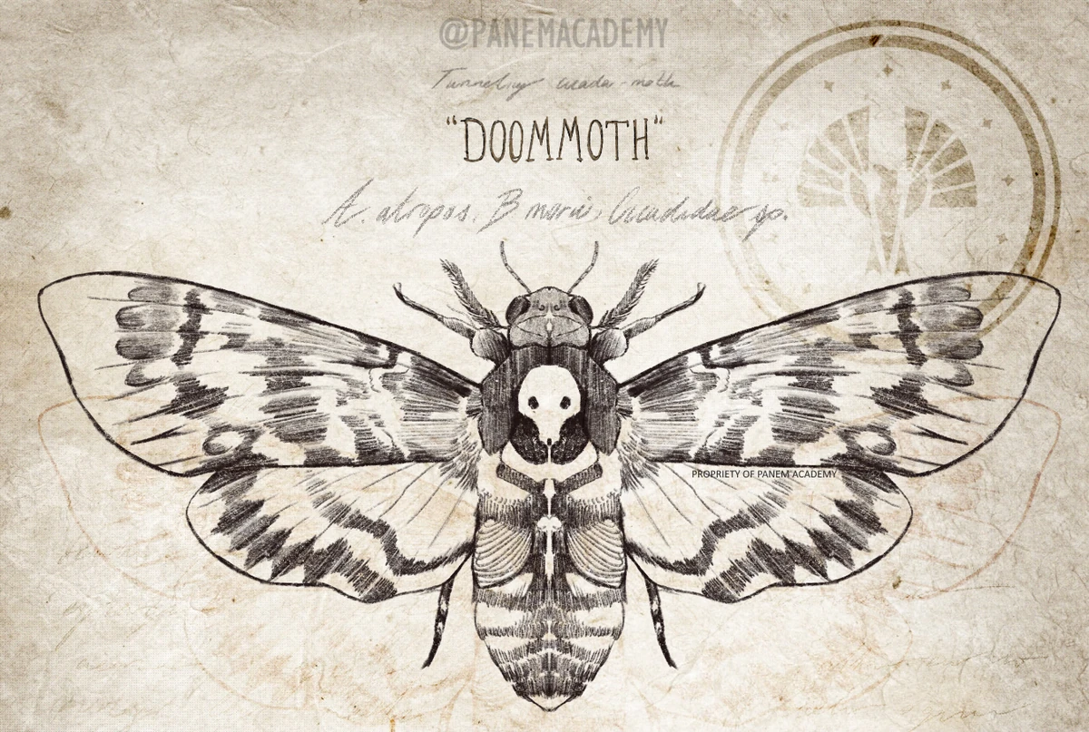 Doom Moth | Panem Academy Wiki | Fandom