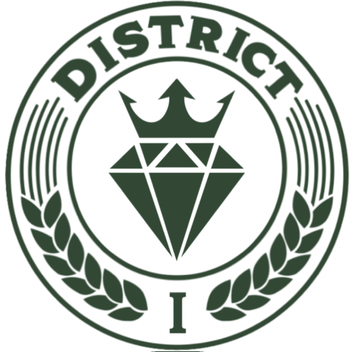 District 1 | Panem et Circenses Wiki | Fandom