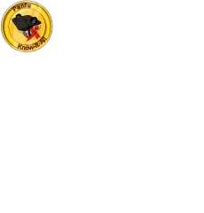 ANNIVERSARY_BADGE_GOLD | Panfu Wiki | Fandom