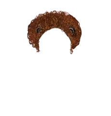 Pelo afro | Panfu Wiki | Fandom