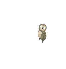 Owl | Panfu Wiki | Fandom