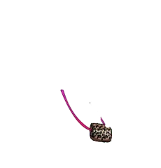 Cartera | Panfu Wiki | Fandom