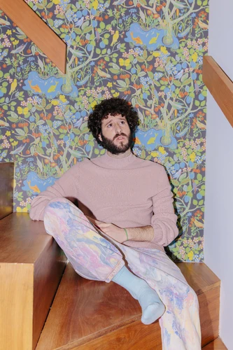 Lil Dicky | Panic! At The Disco Wiki | Fandom