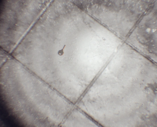 Elevator Key | PANICORE Wiki | Fandom