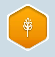 Fields Based Structures | Pan'orama Wiki | Fandom