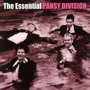 The Essential Pansy Division | Pansy Division Wiki | Fandom