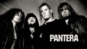 Pantera Wiki | Fandom