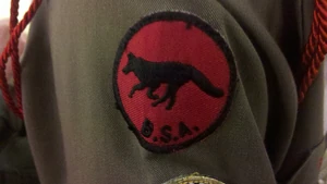 Fox Patrol | Woolipedia Wiki | Fandom