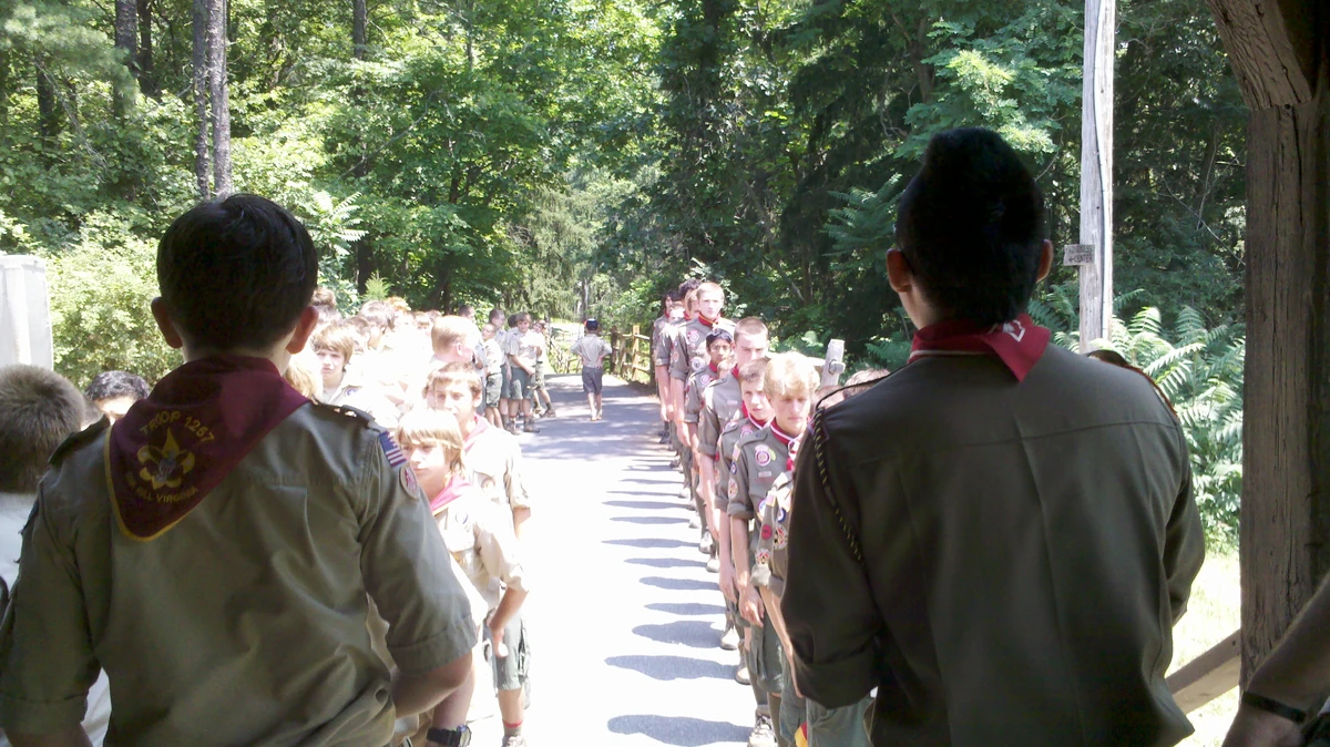 Conga Line | Woolipedia Wiki | Fandom