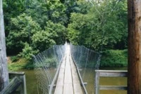 Octoraro | Woolipedia Wiki | Fandom