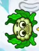 Cauliflower | Papa pear saga Wiki | Fandom