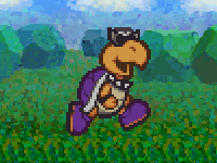 Dark Koopa | Paper Mario Baddie Trading Card Game Wiki | Fandom