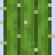 Cactus | Paper Minecraft Modded Wiki | Fandom
