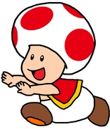 Toad (species) | Paper Shin a.k.a Keroro Gunsou Wiki | Fandom