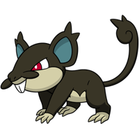 Rattata | Paper Shin a.k.a Keroro Gunsou Wiki | Fandom