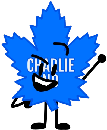 Charlie ND | Paper NHL Battle Wiki | Fandom