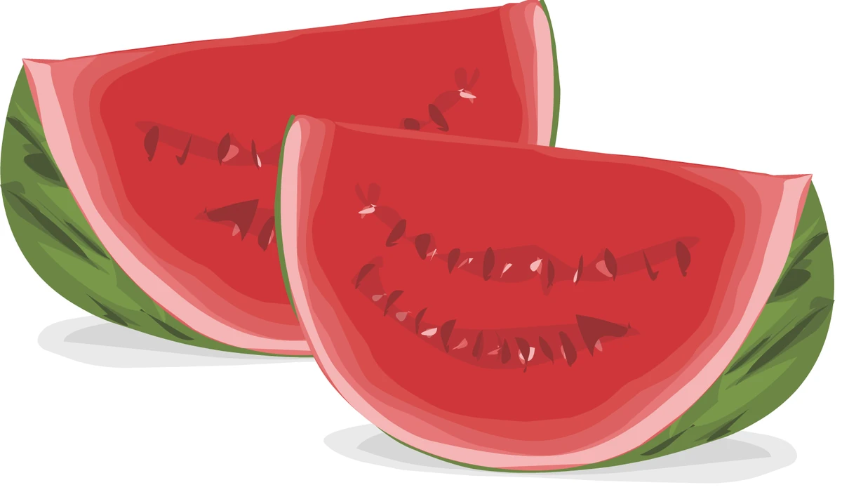Watermelon | Stardoll Wiki | Fandom