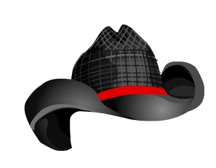 RIO Cowboy hat | Stardoll Wiki | Fandom