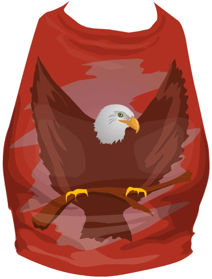 Eagle Print Top | Stardoll Wiki | Fandom