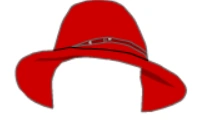 Alicia hat | Stardoll Wiki | Fandom
