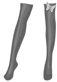 Voile Socks | Stardoll Wiki | Fandom