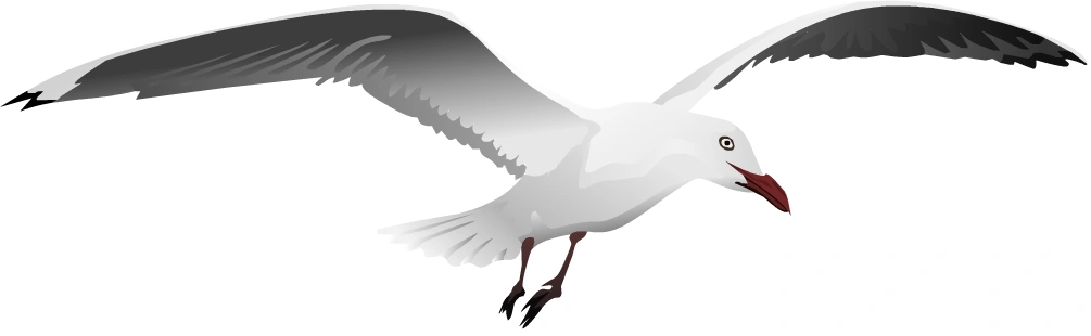 Seagull | Stardoll Wiki | Fandom