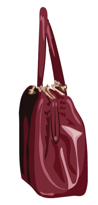Amy bag | Stardoll Wiki | Fandom