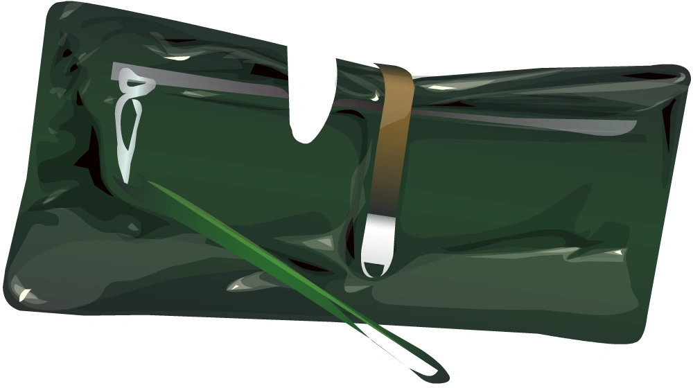 Emerald Patent Clutch | Stardoll Wiki | Fandom