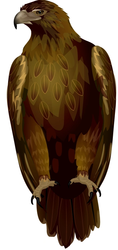 Golden Eagle | Stardoll Wiki | Fandom