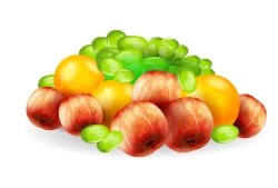 Ramadan Fruits | Stardoll Wiki | Fandom