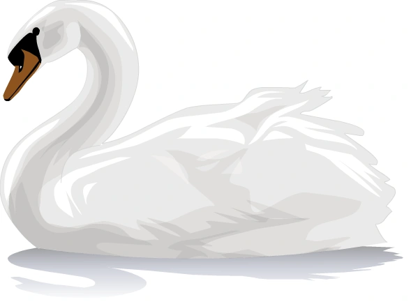 Swan (3) | Stardoll Wiki | Fandom
