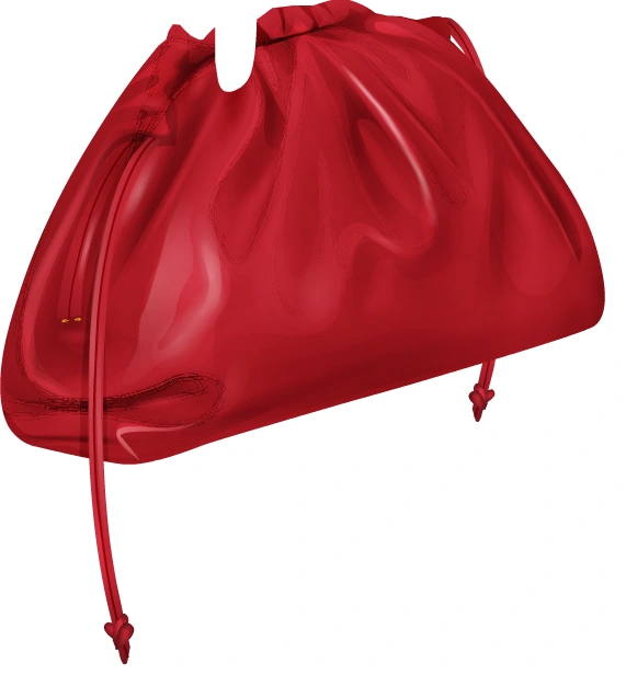 Red leather pouch | Stardoll Wiki | Fandom