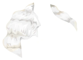 Ballerina Fake Fur Bolero | Stardoll Wiki | Fandom